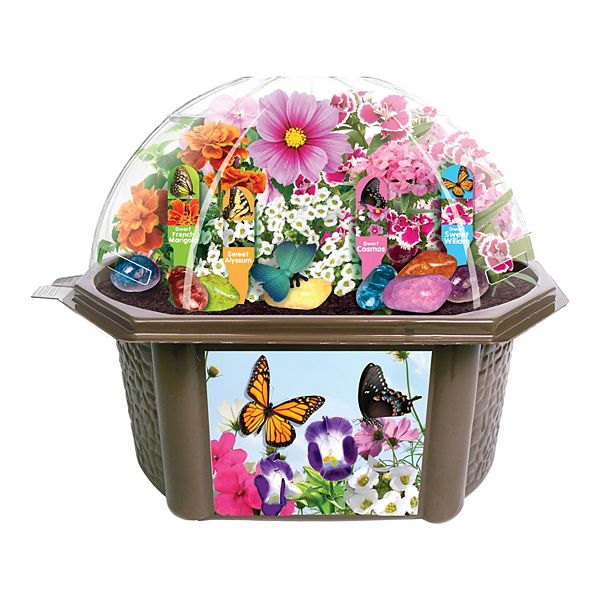 Toys By Nature Biosphere Terrarium - Bountiful Butterfly Garden