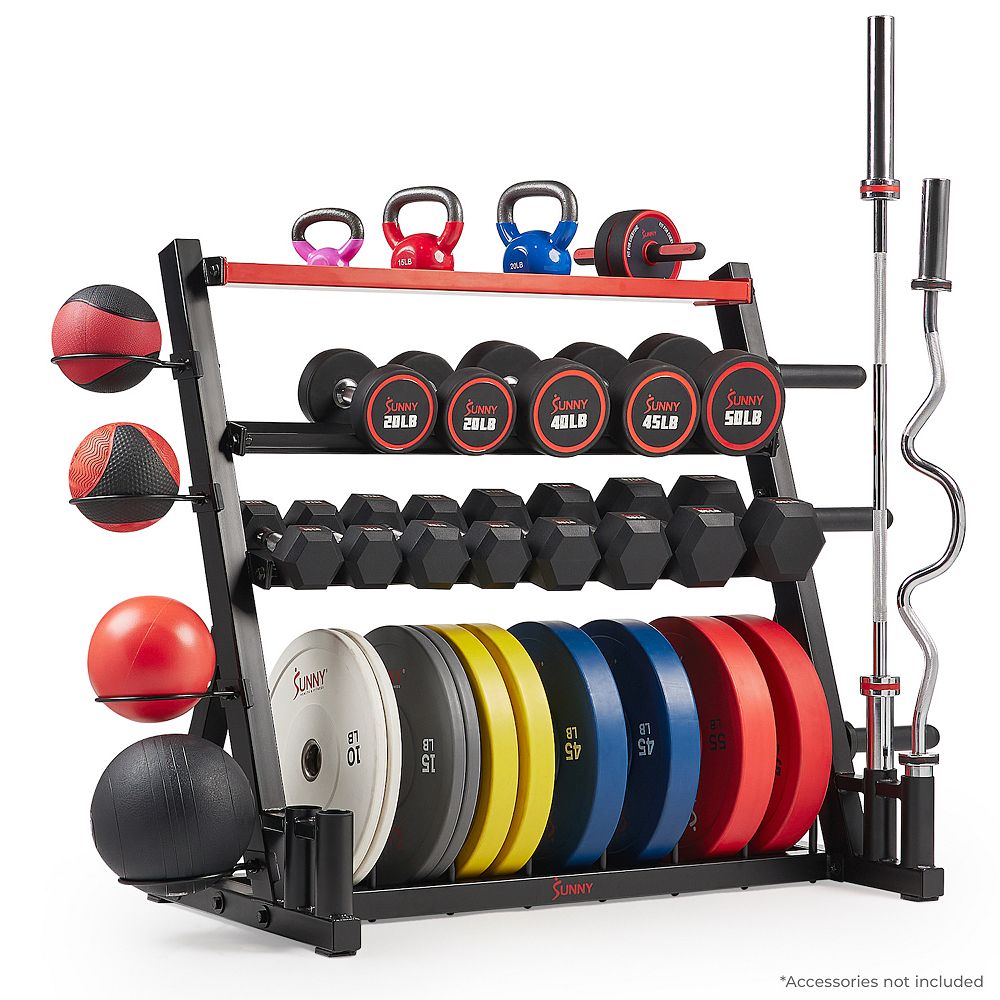 Sunny Health & Fitness All-In-One Mass Weights Storage Rack