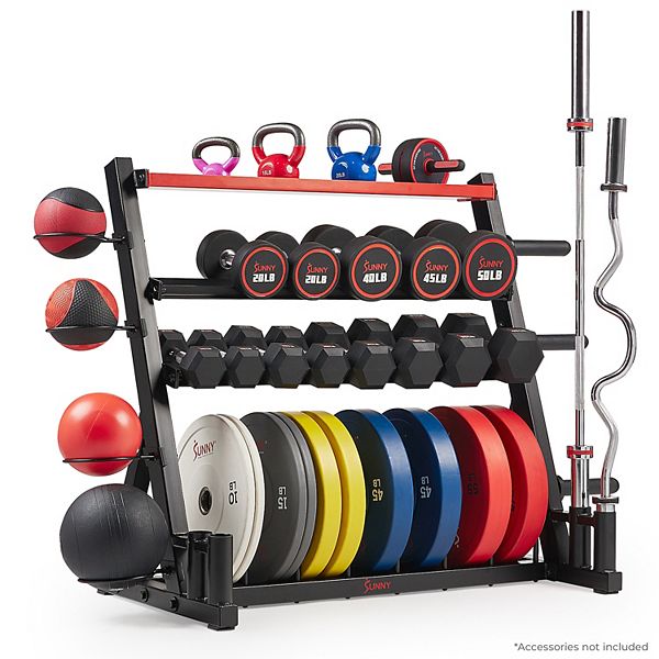 Sunny Health & Fitness All-In-One Mass Weights Storage Rack