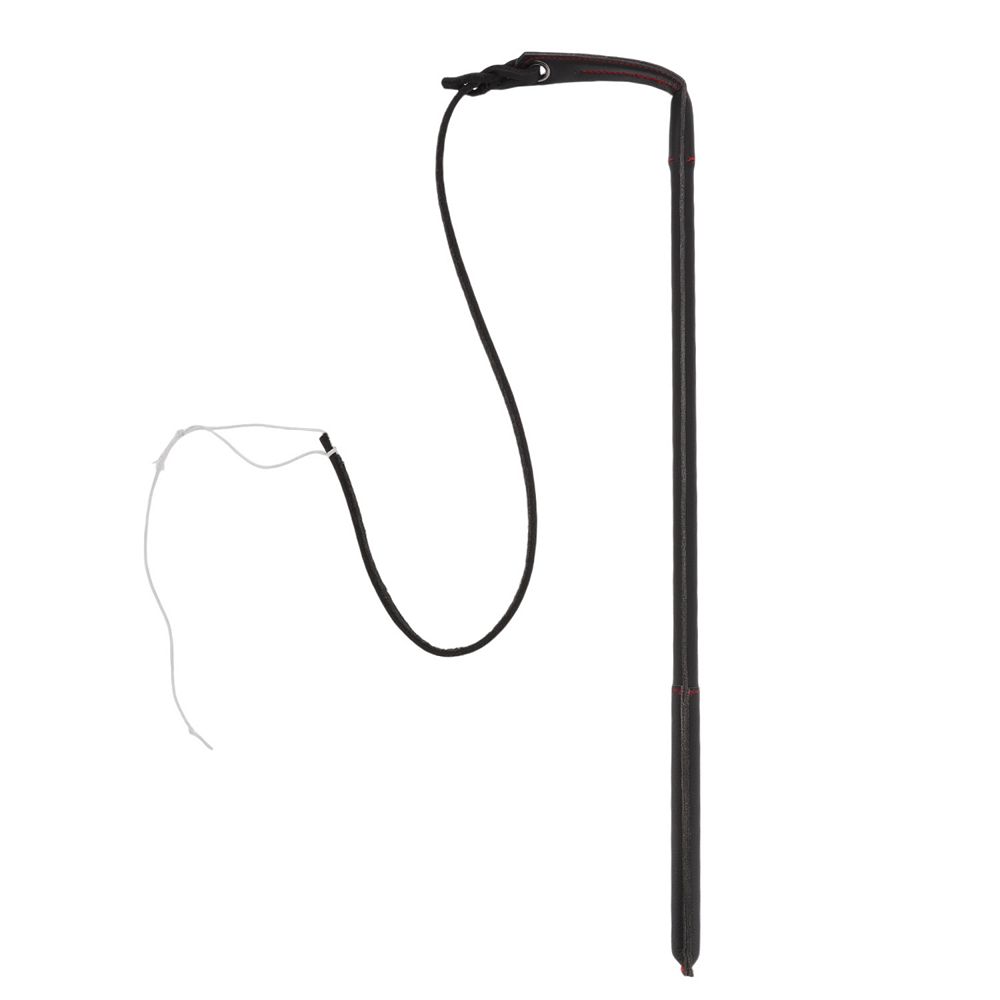 Dog Training Whip, Dog Agitation Stick Flog Teaser Wand, Dog Target ...