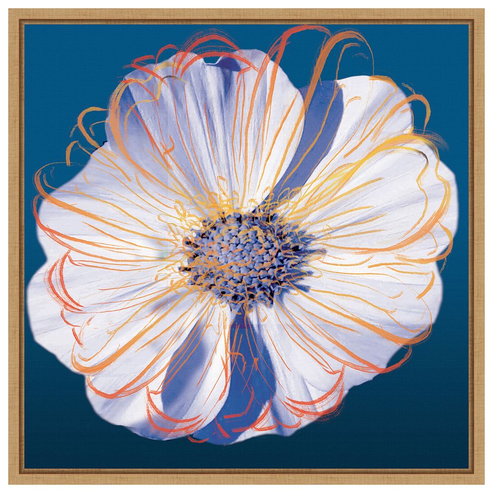 Flower Pop Pastel II by Marie Elaine Cusson Framed Canvas Wall Art Print