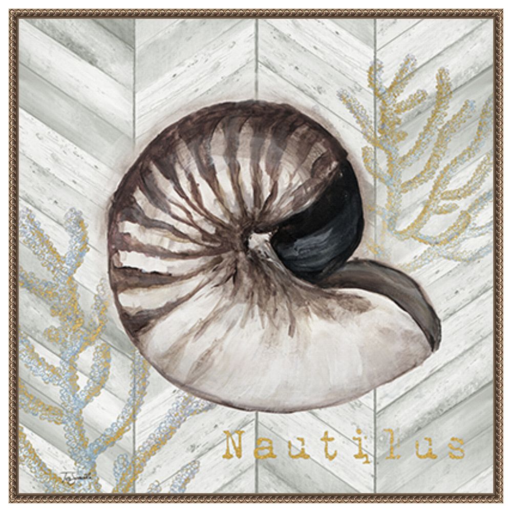 Gray Gold Chevron Nautilus Shell by Tre Sorelle Studios Framed Canvas ...