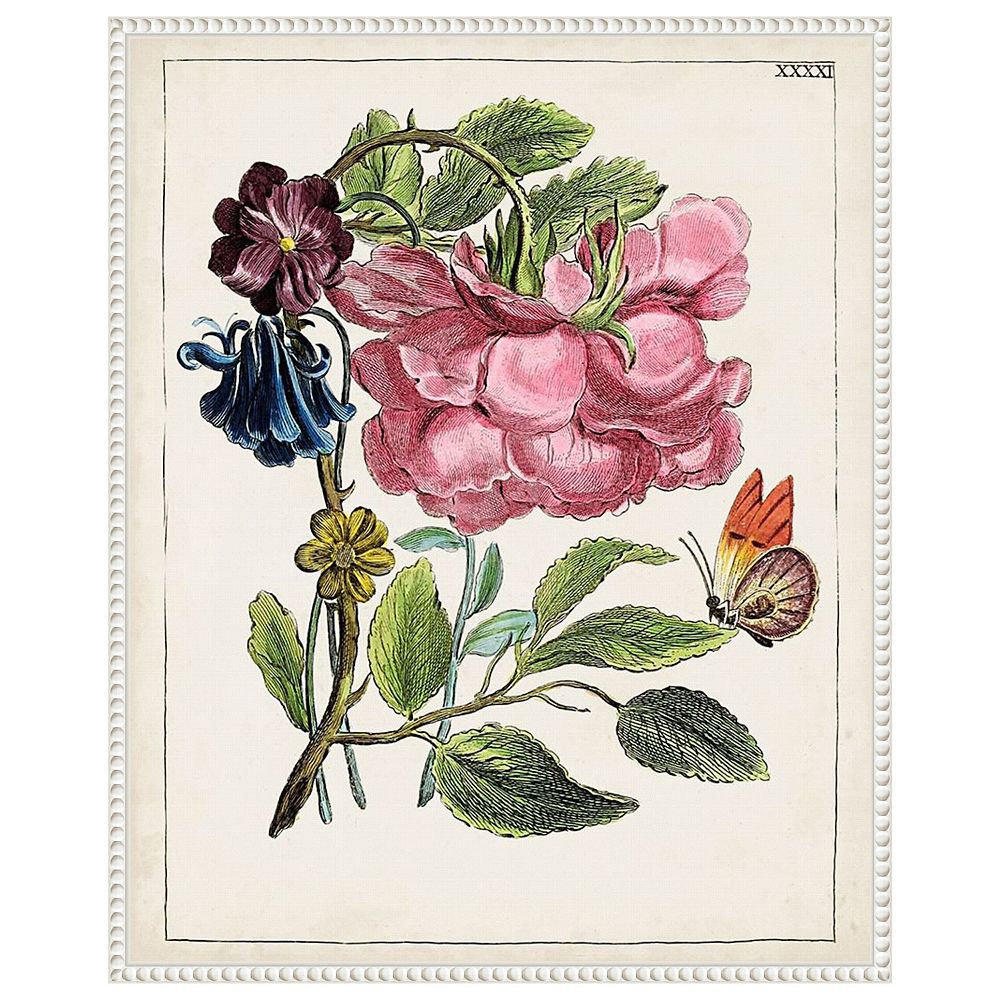Dutch Florals XII Framed Canvas Wall Art Print