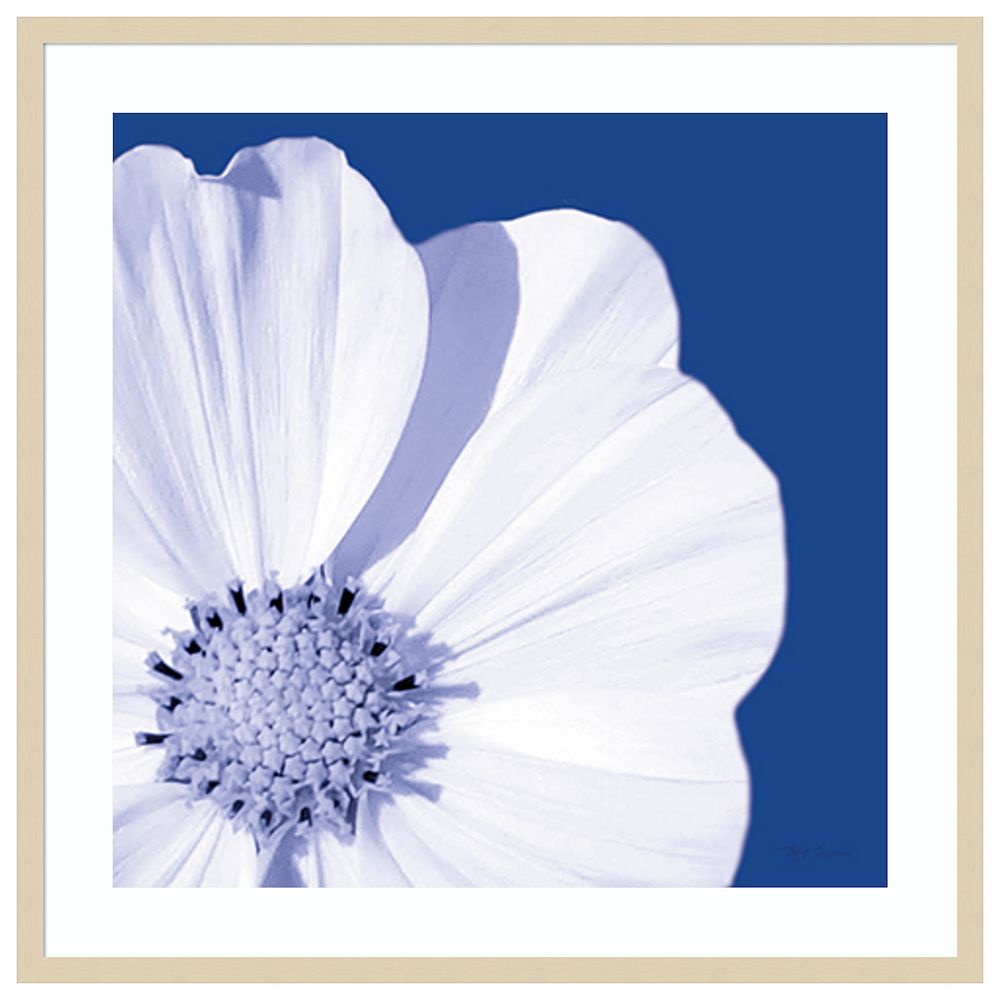 Flower Pop blue III by Marie Elaine Cusson Wood Framed Wall Art Print