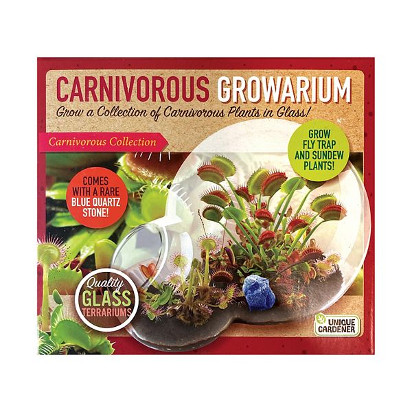 Unique Gardener Double Sphere Glass Terrarium Carnivorous Growarium