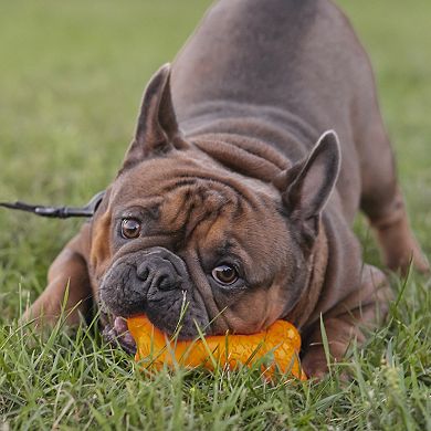 Chew King Bacon Rubber Bone Dog Toy
