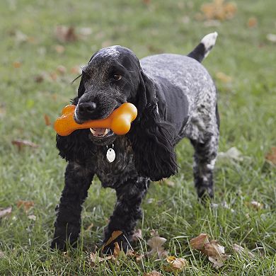Chew King Bacon Rubber Bone Dog Toy