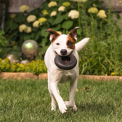 Chew King Black Supreme Ring Chew Large Dog Toy