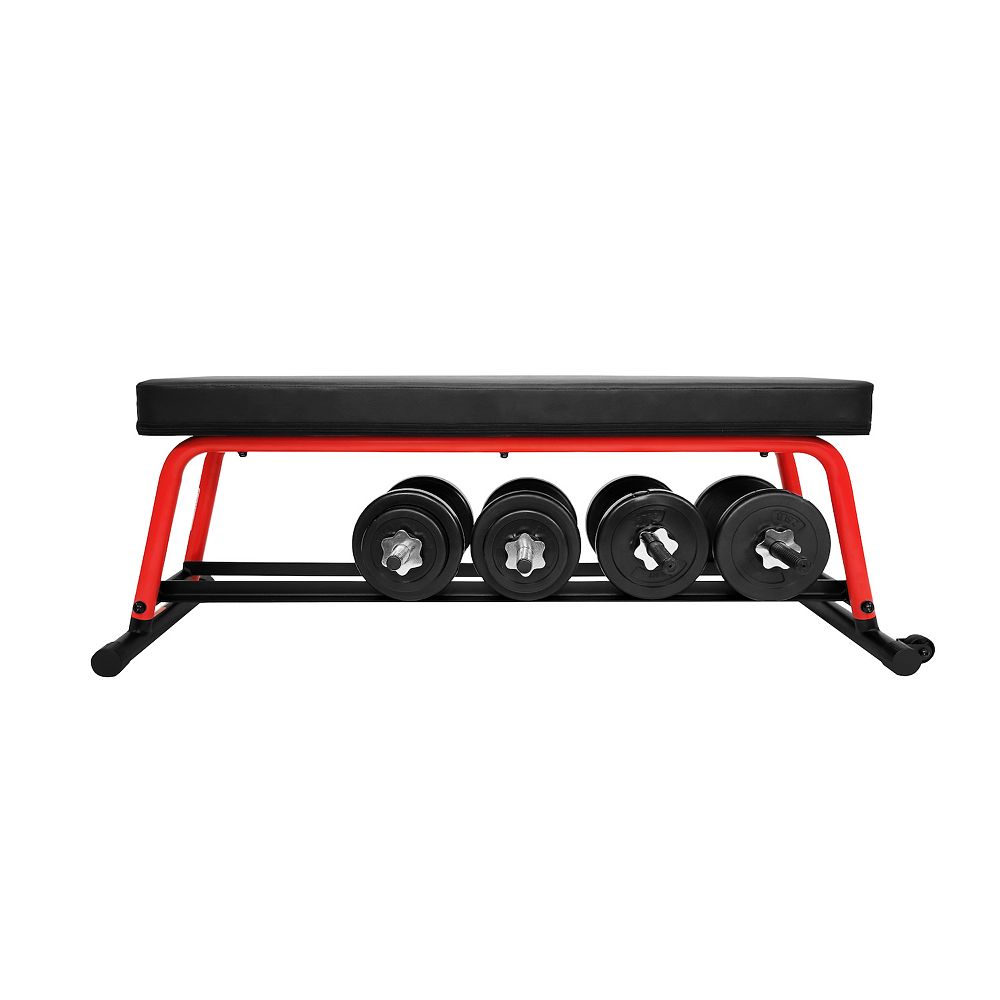 Sunny Health & Fitness Power Zone Premium Strength Flat Bench With ...