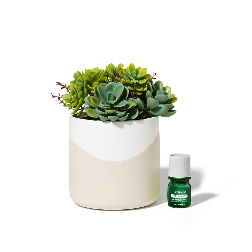 Lifelines Artificial Succulent Plant Diffuser