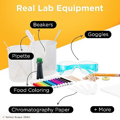 The Art and Science of Color Paper Chromatography Science Kit STEM Activities