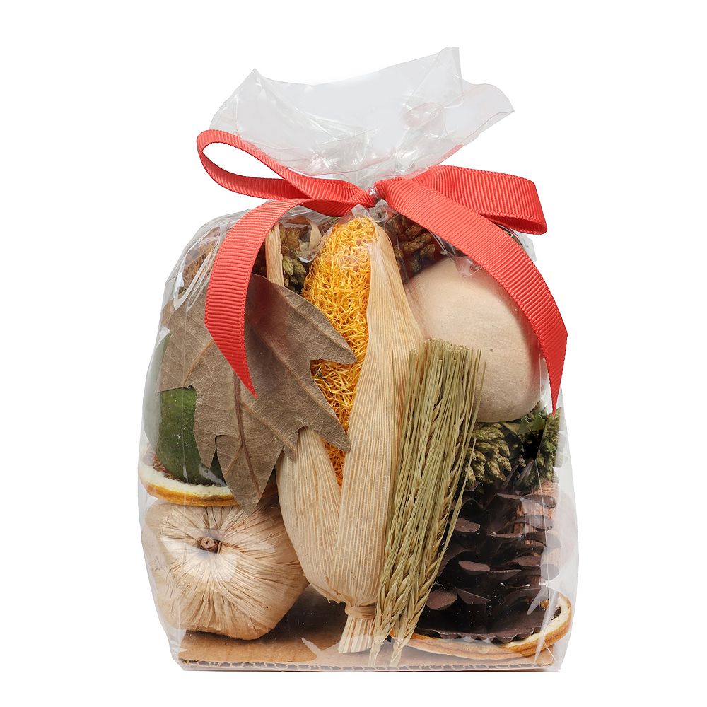 Sonoma Goods For Life® Pumpkin Spice Mini Fall Potpourri
