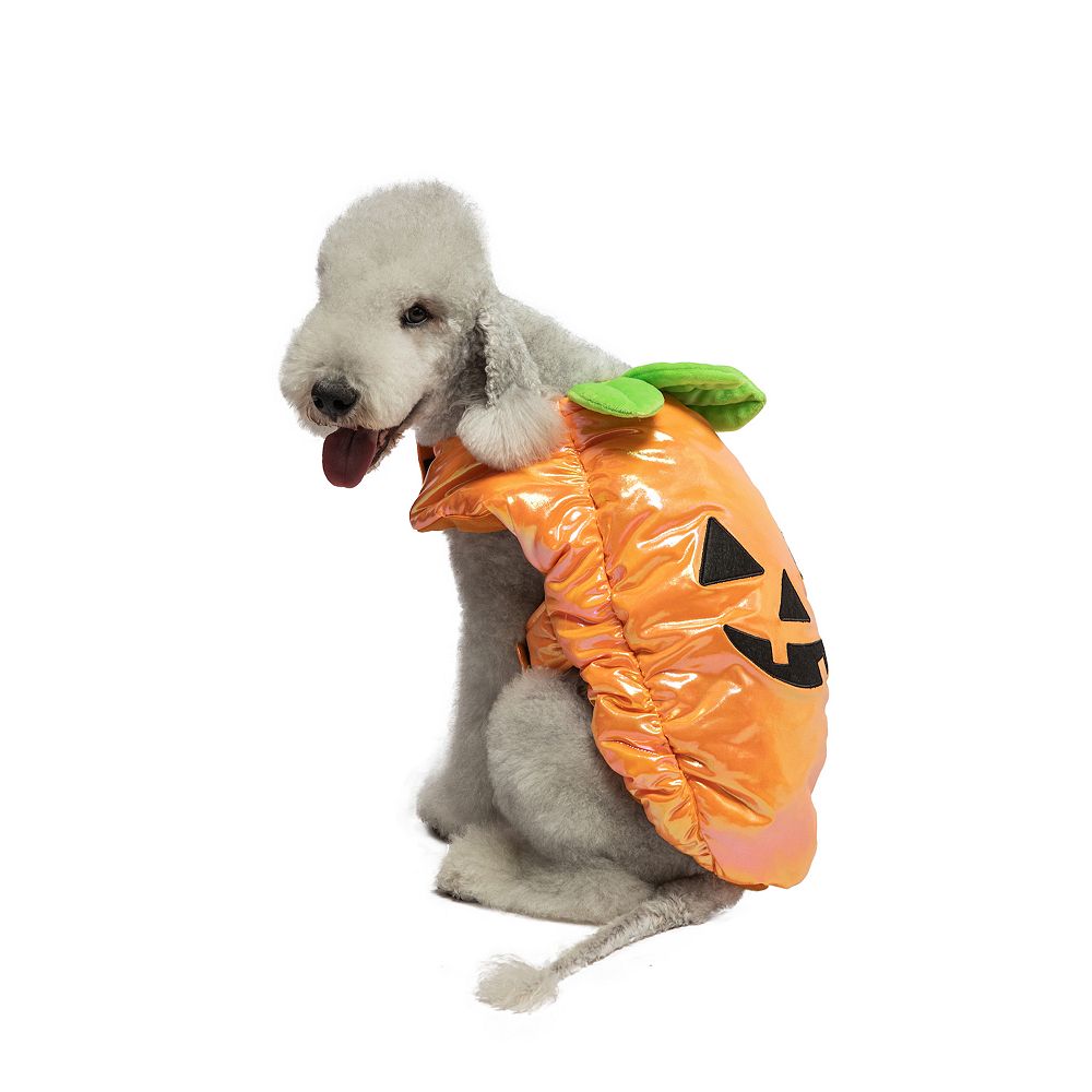 Woof Pumpkin Dog Costume