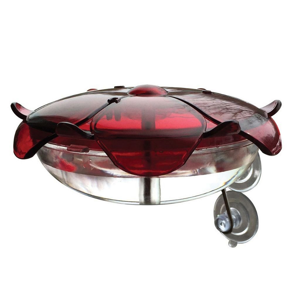 Droll Yankees The Ruby Sipper Window Mount Hummingbird Feeder - 5 Oz