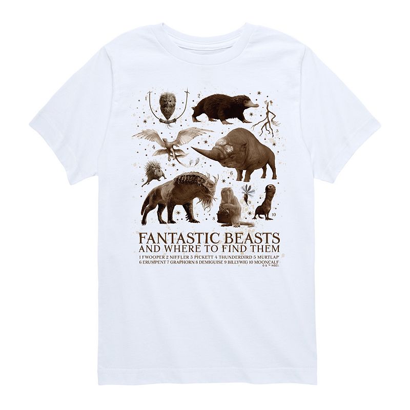 UPC 198848450870 - Boys 8-20 Fantastic Beasts Field Guide Graphic Tee ...