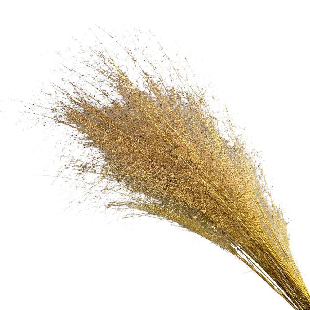 Decorative Dried Wispy Grass Stems for Home Decoration and Floral ...