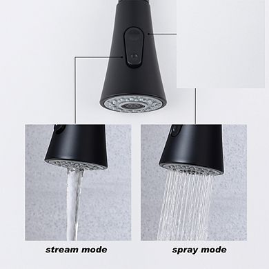 Matte Black Kitchen Faucet with Pull Out Spraye,Stainless Steel