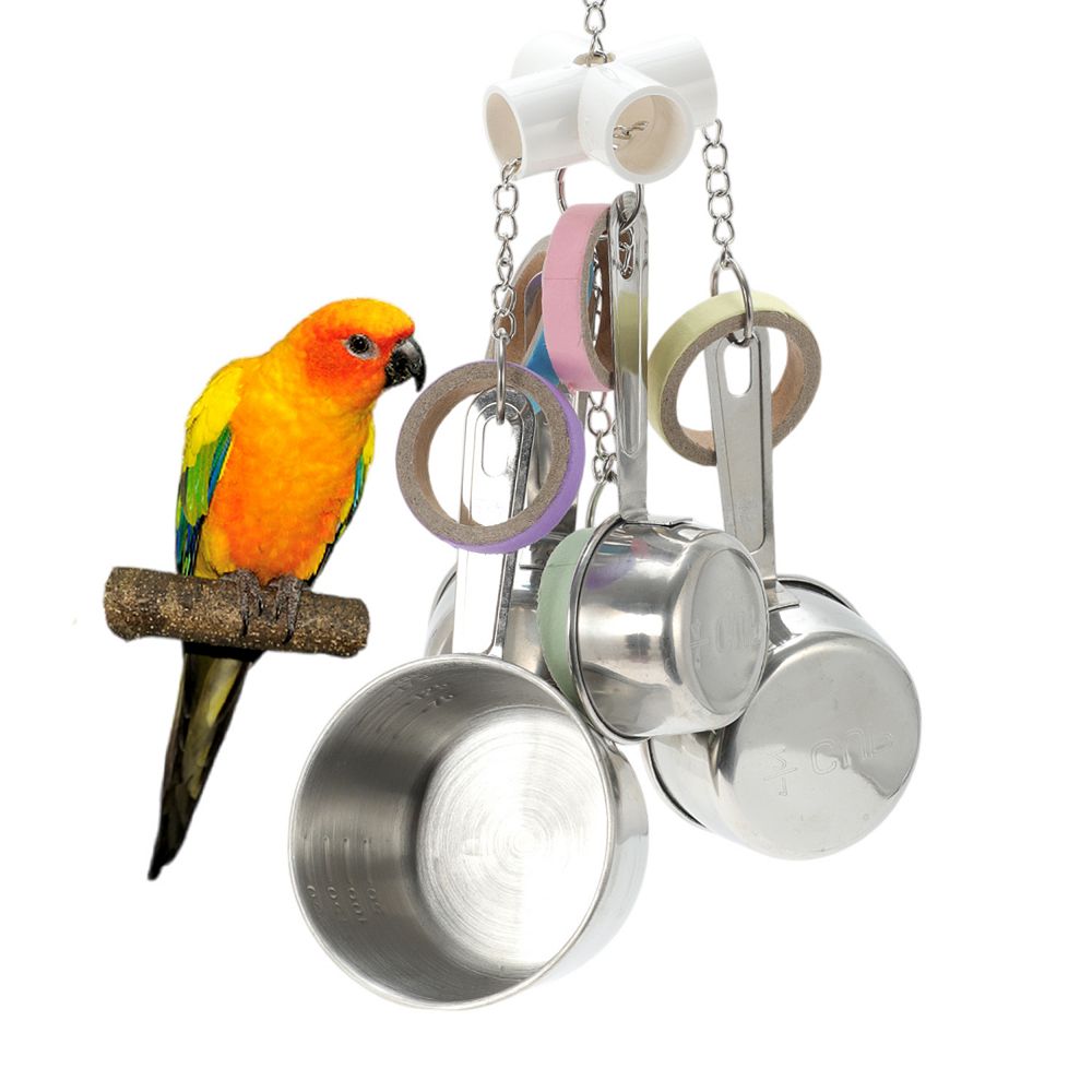Bird Parrots Pots and Bagel Toys, Stainless Steel Cup and Cardboard ...