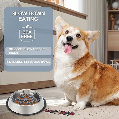 Slow Feeder Dog Bowls, Stainless Steel Dog Slow Feeder Bowl with ...