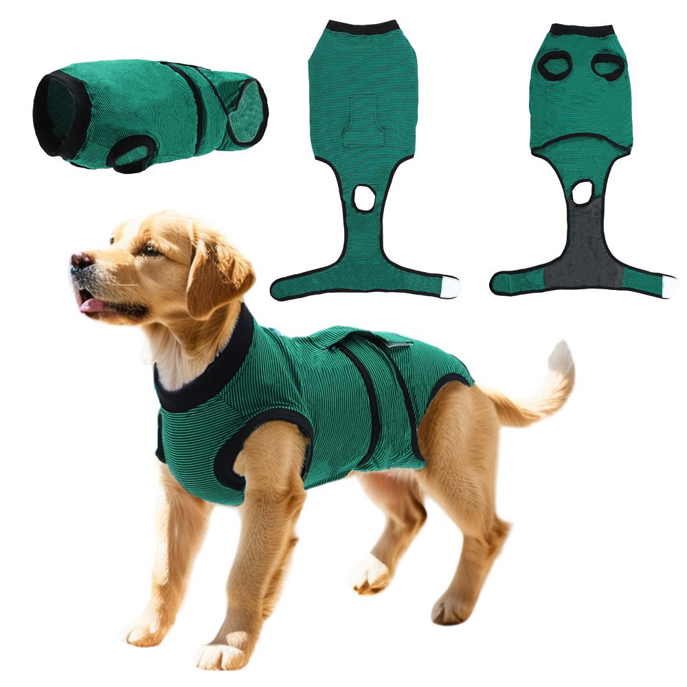 Pet Recovery Suit for Dogs Cats After Surgeries Castration, Weaning ...
