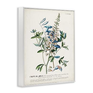 Stupell Home Decor Flowers And Leaves Vintage Design Framed Wall Art