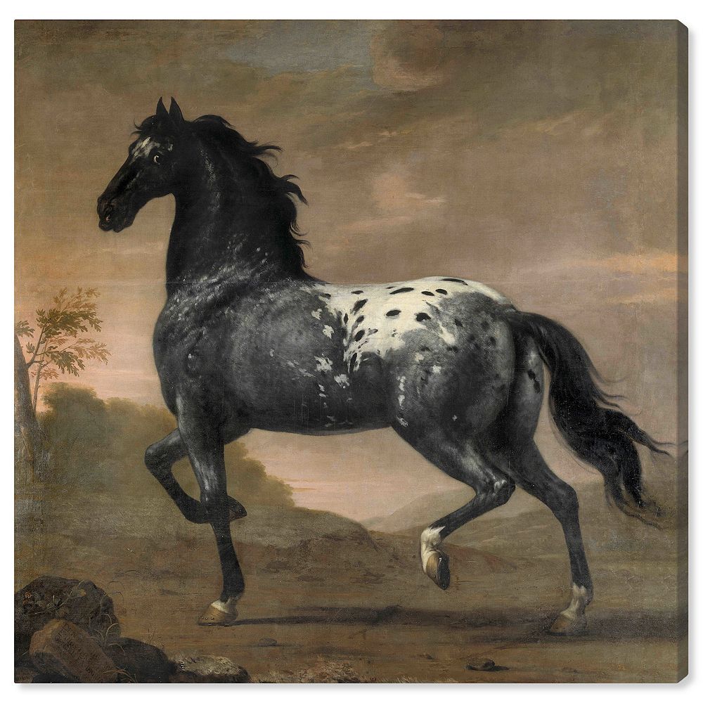 Notoriart David Klocker Ehrenstrahl - Polish Horse Canvas Wall Art