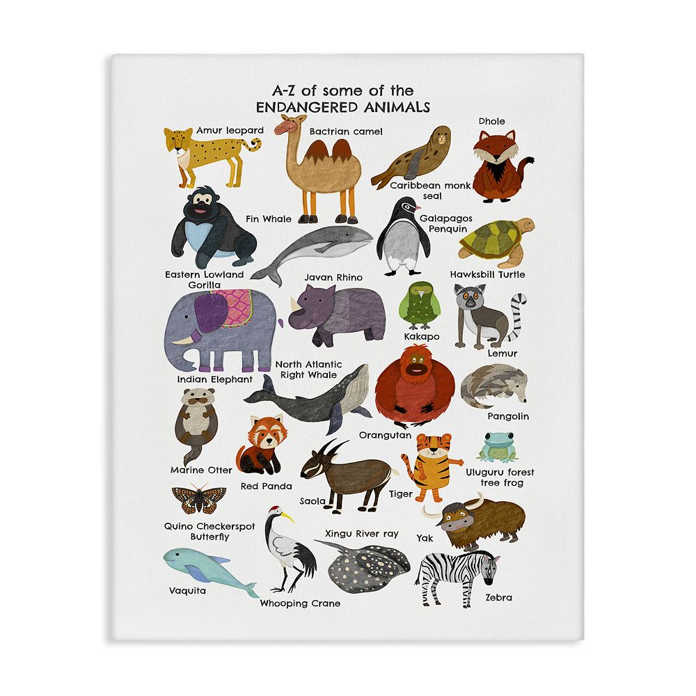 Stupell Home Decor Children's Endangered Animals Fun Alphabet Canvas ...