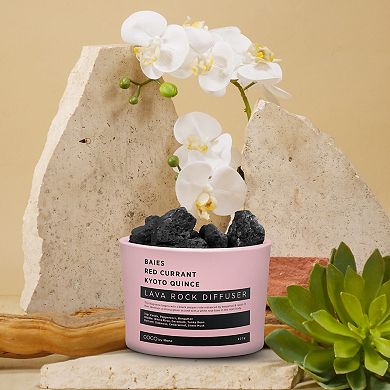 Lava Rock Diffuser - Baies, Red Currant, Kyoto Quince