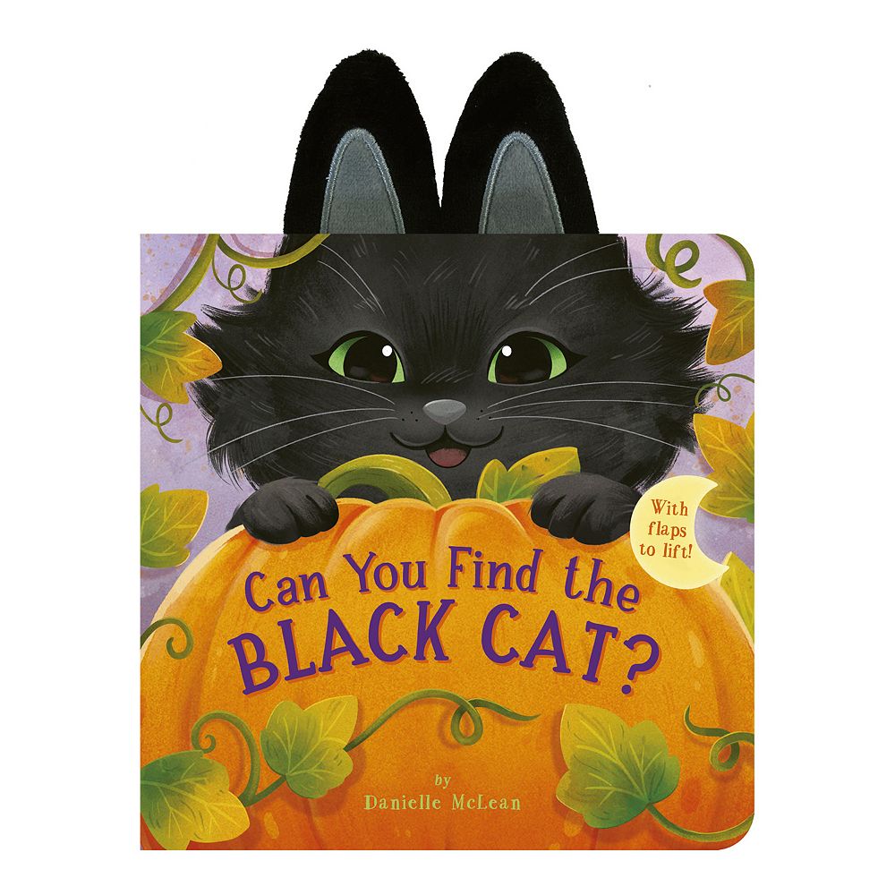 Can You Find the Black Cat? by Danielle McLean Children's Board Book