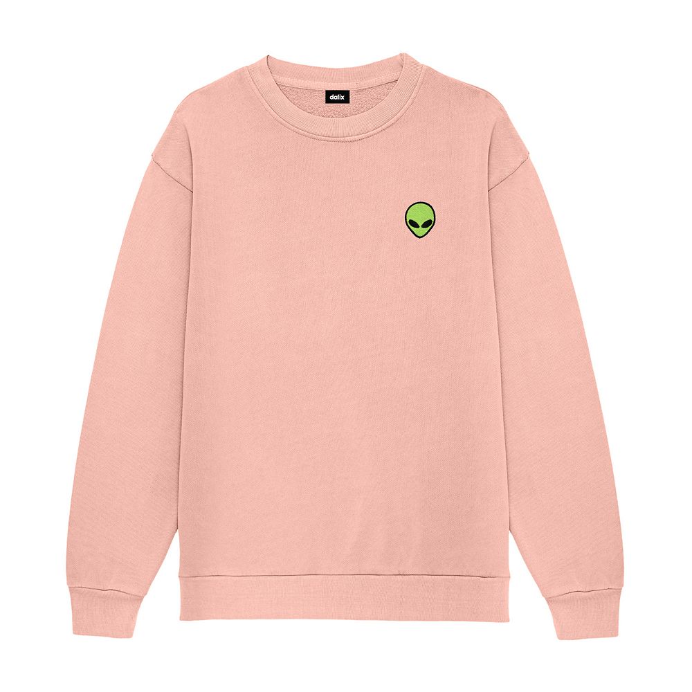 Dalix Alien Heavyweight Relaxed Sweatshirt