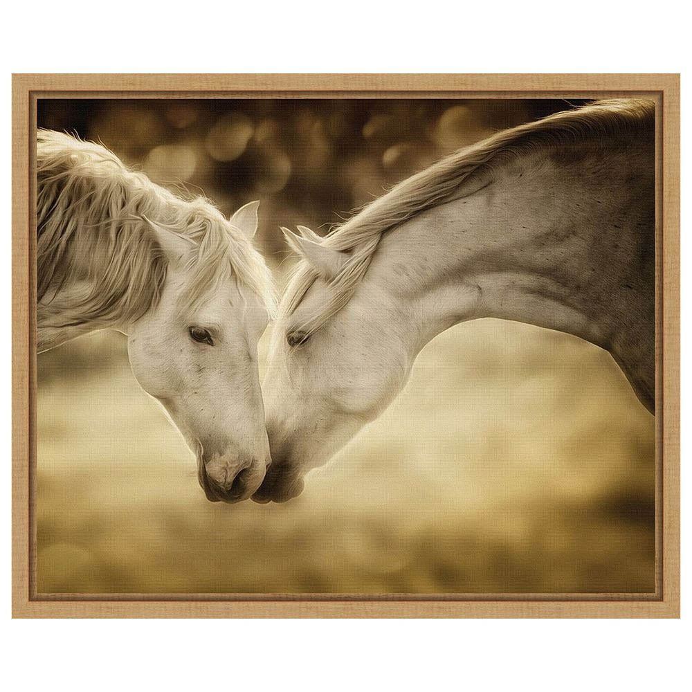 Amanti Art Connections by PHBurchett Framed Canvas Wall Art Print