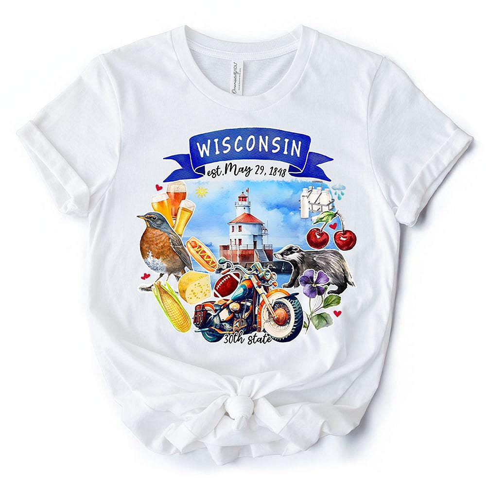 Artistic Wisconsin State Themes and Landmarks T-Shirt, Tee for History ...