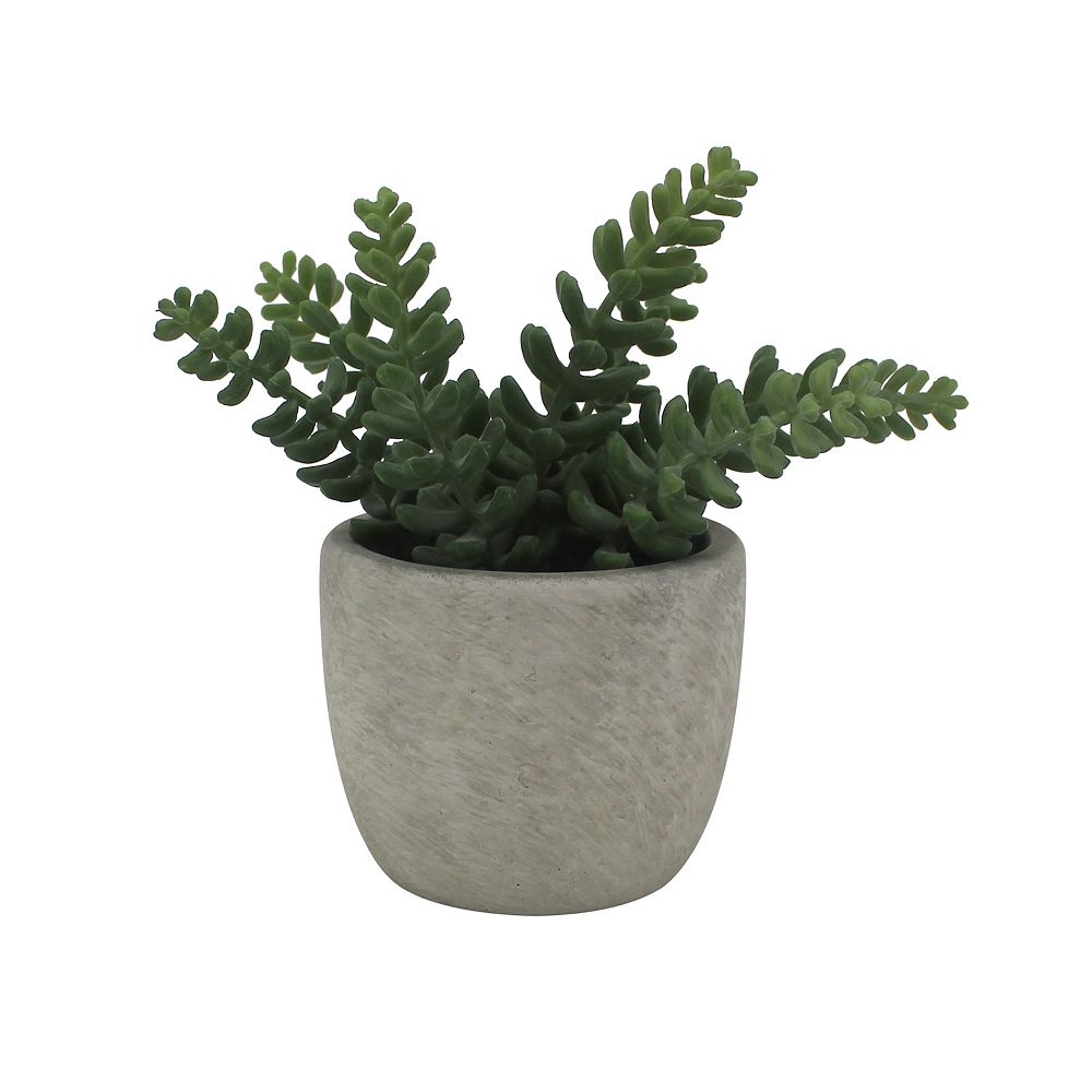 Everyday Decor Artificial Mini Burro Tail Plant in Pot