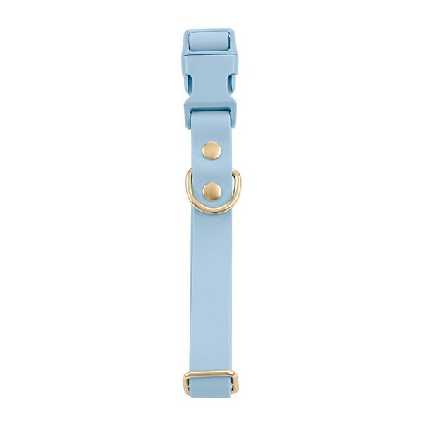 SportPet Solid Color Basic Dog Collar