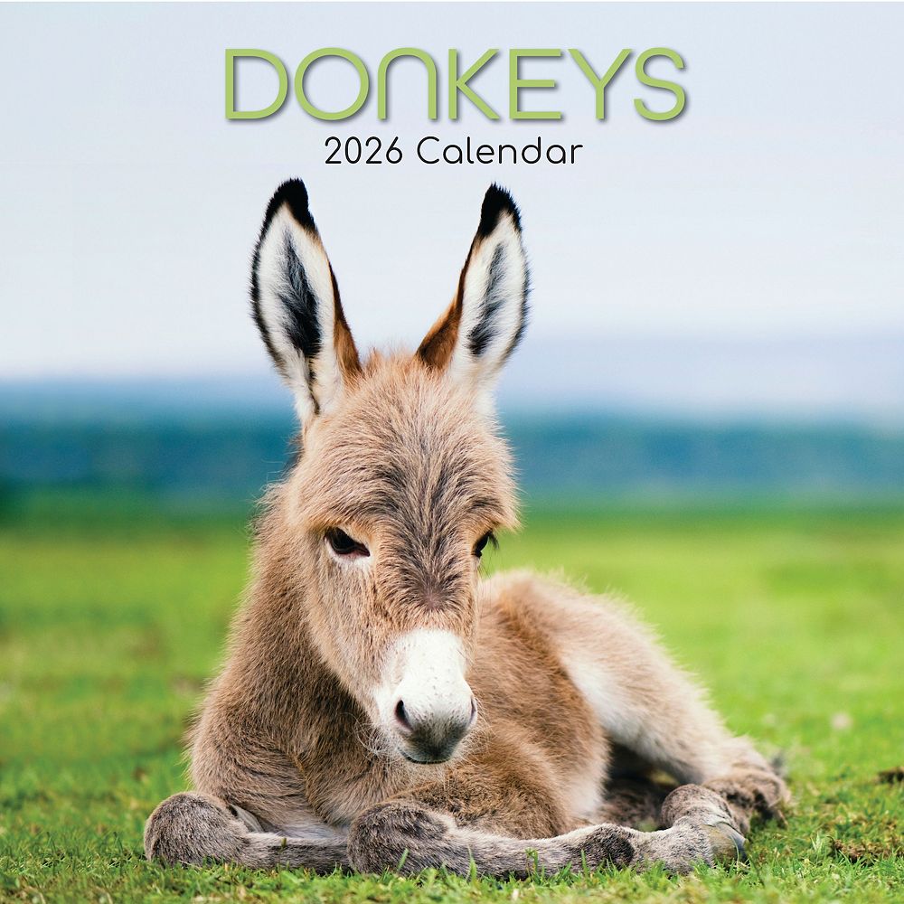 2026 Square Wall Calendar, Donkeys, 16-Month Animals Theme 12x12 in