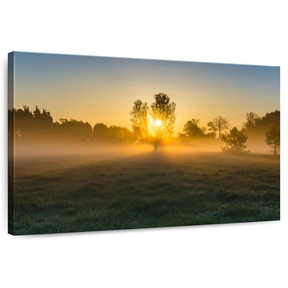 Misty Meadow At Sunrise Wall Art