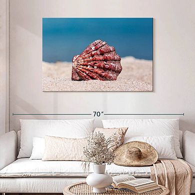 Cancun Seashell Wall Art
