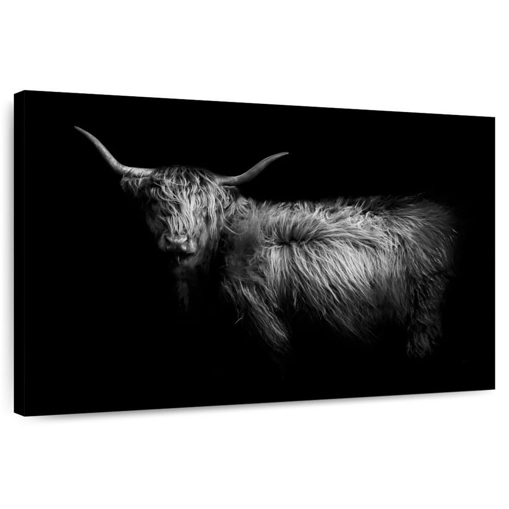 Hello Highland Cow Wall Art