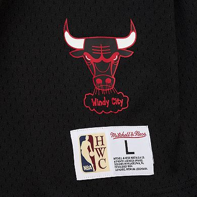 Men's Mitchell & Ness Dennis Rodman Black Chicago Bulls Mesh Name ...