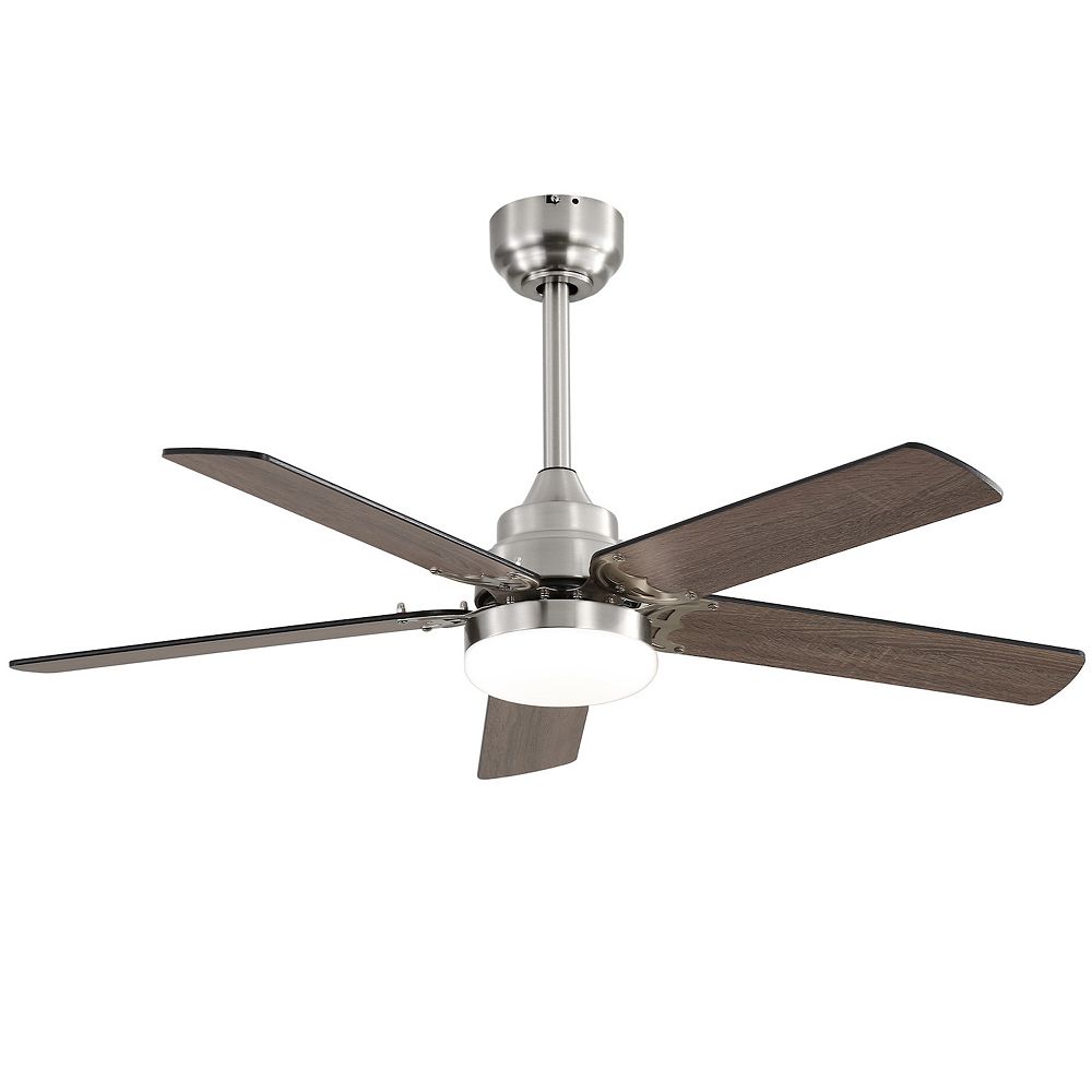 ELEMENT ACE 42 Inch Modern Indoor Outdoor Ceiling Fan with LED Light ...