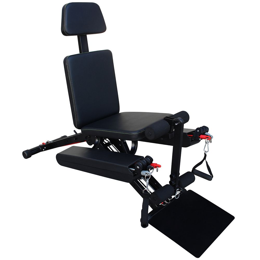 ELEMENT ACE Adjustable Multifunction Strength Training Bench for Full ...