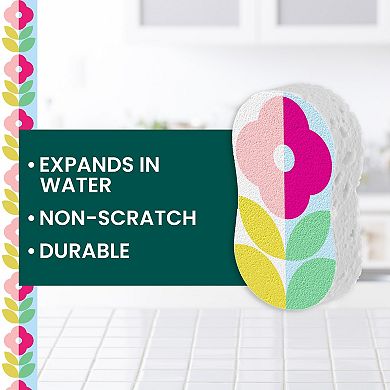 Scotch® Brite Pop Up 3-Pack Expanding Non-Scratch Sponges