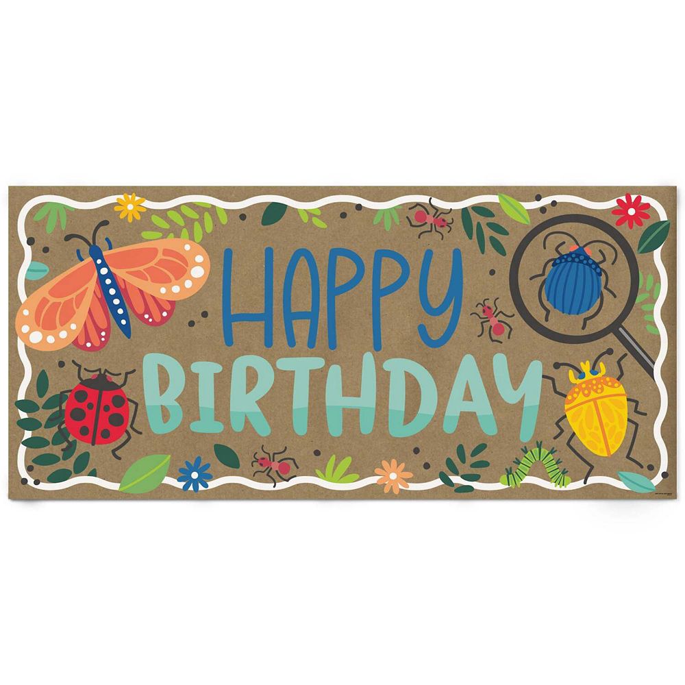Buggin' Out Birthday Kraft Paper Banner, Colorful Insects & Bug-Themed ...