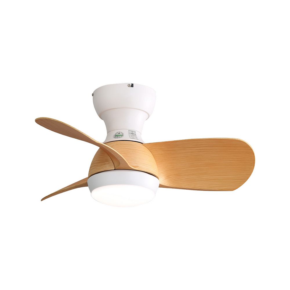 ELEMENT ACE 23 Inch Indoor Ceiling Fan with Remote Control and LED Light