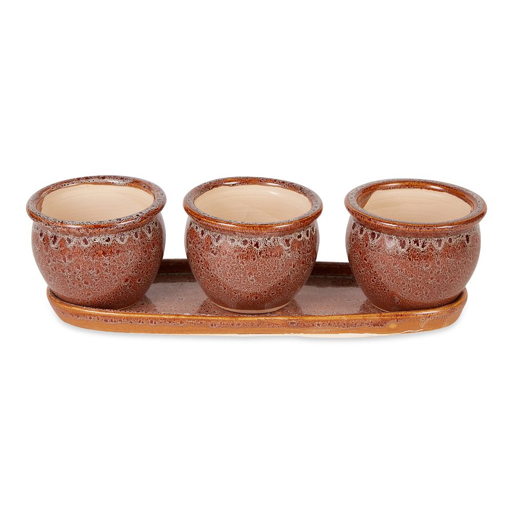 Zingz Home Round Ceramic Herb Planter Set of 3