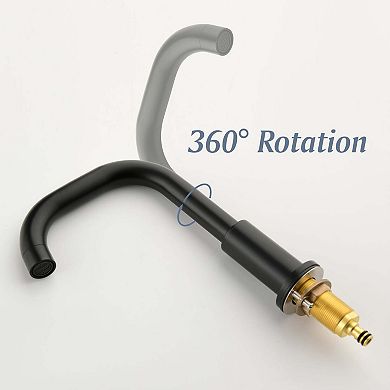 8 in. Widespread Double Handle Bathroom Faucet with Quick Connect Hose ...