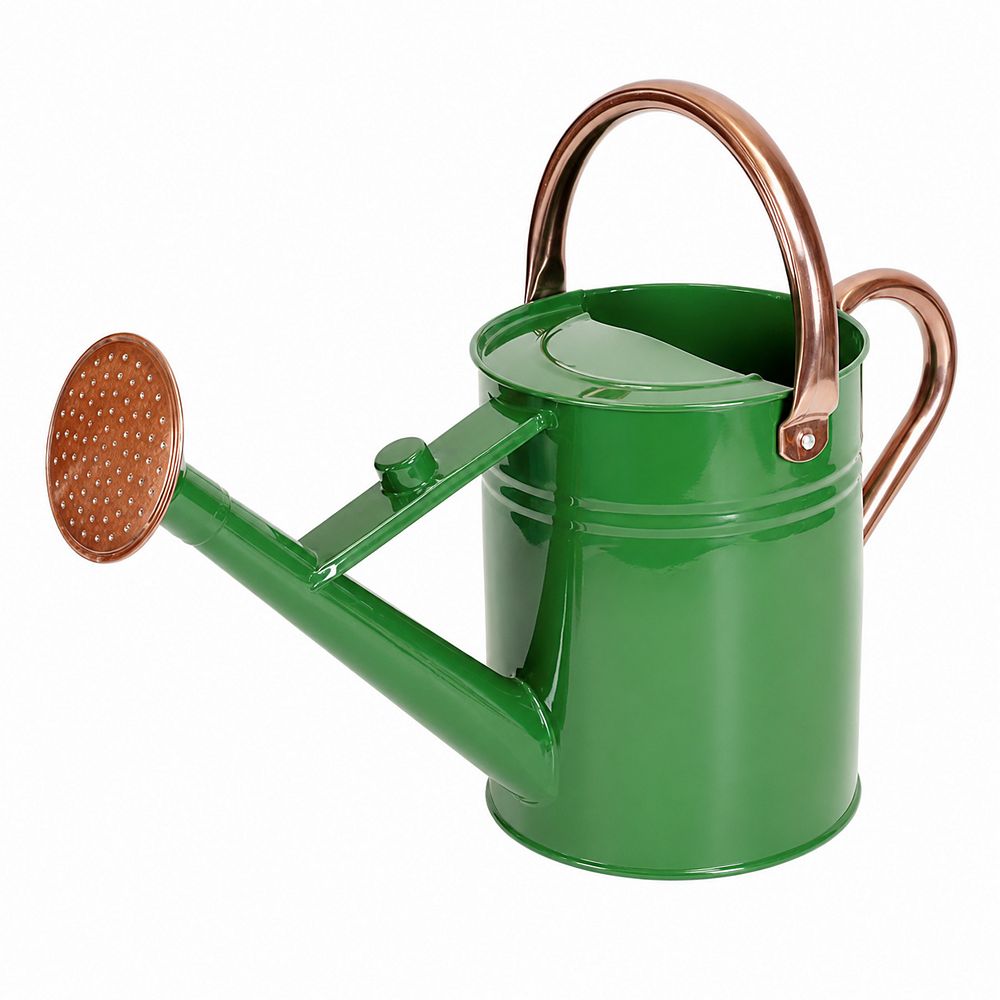 1 Gallon Galvanized Steel Watering Can With Removable Spout For Indoor ...