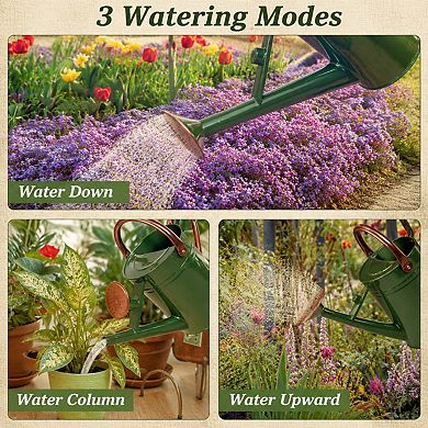 1 Gallon Galvanized Steel Watering Can With Removable Spout For Indoor ...