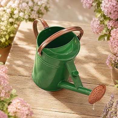 1 Gallon Galvanized Steel Watering Can With Removable Spout For Indoor ...