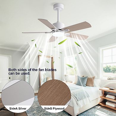 Loheer 42 Inch Low Profile Modern Ceiling Fan, with Dimmable LED Light ...